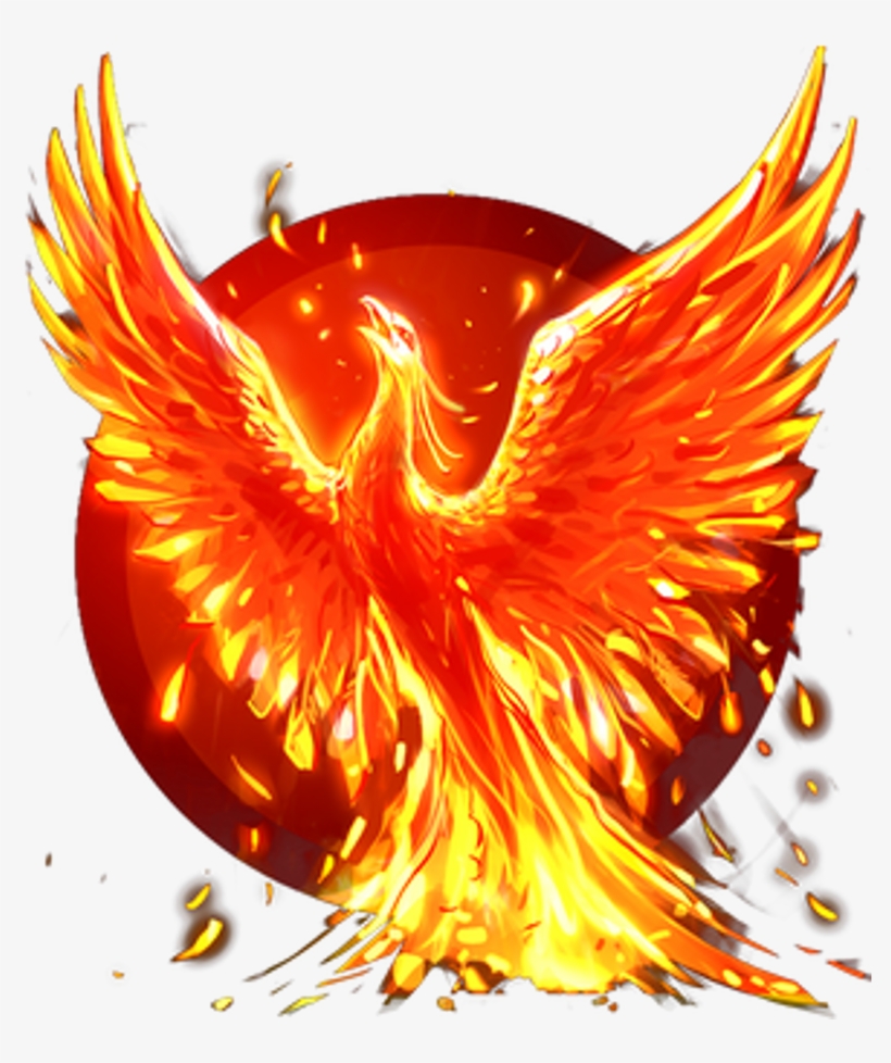 Phoenix - Phoenix With Transparent Background - Free Transparent PNG ...