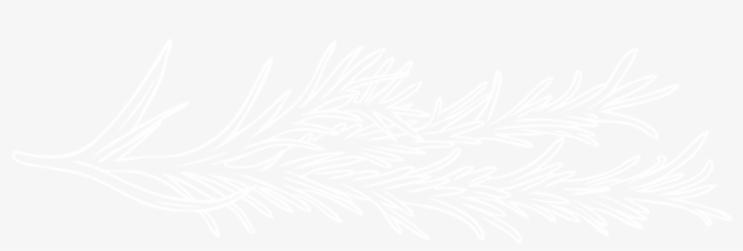 Branch - Portable Network Graphics - Free Transparent PNG Download - PNGkey