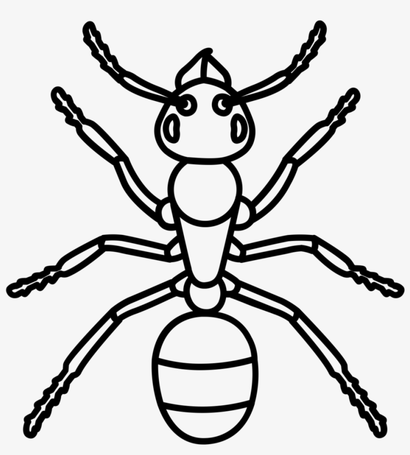 Ant Icon - Drawing - Free Transparent PNG Download - PNGkey
