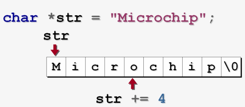 Pointertostring - Food Bank - Free Transparent PNG Download - PNGkey