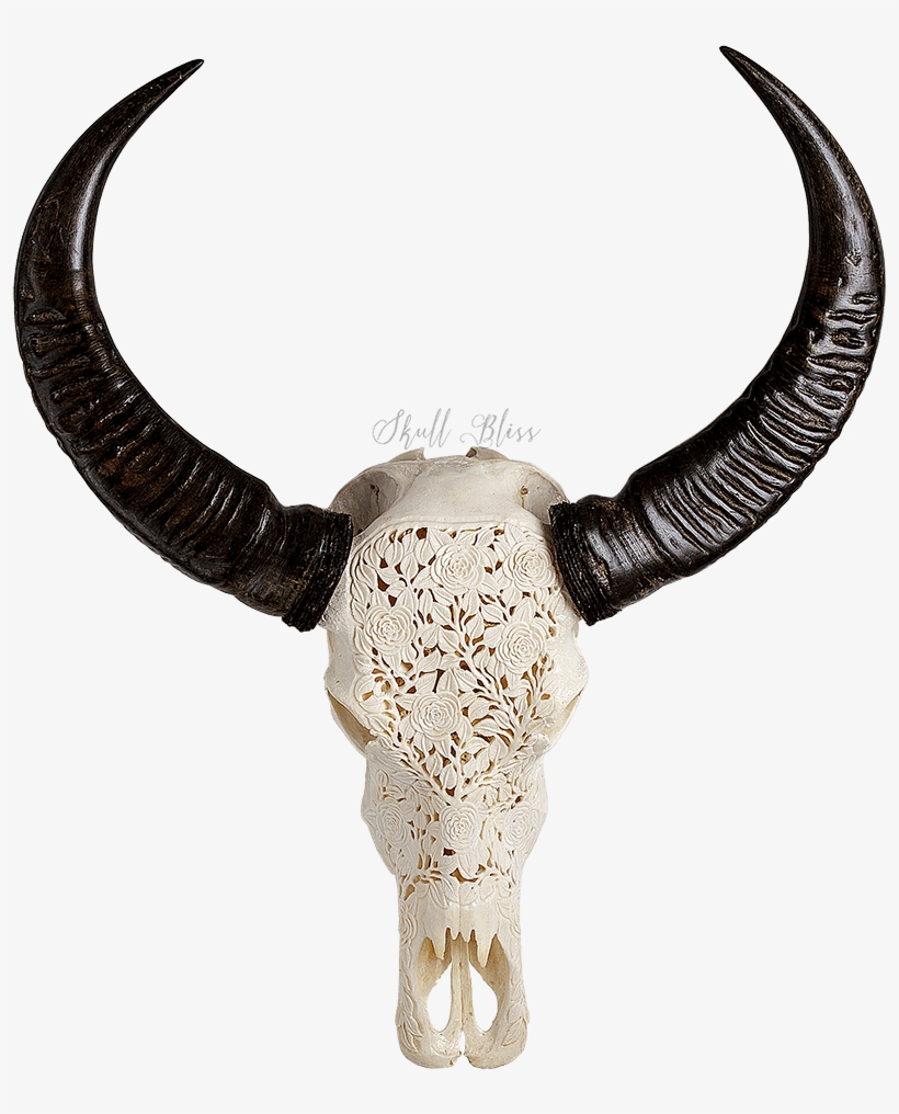 Decorative Skull Head Cow - Free Transparent PNG Download - PNGkey