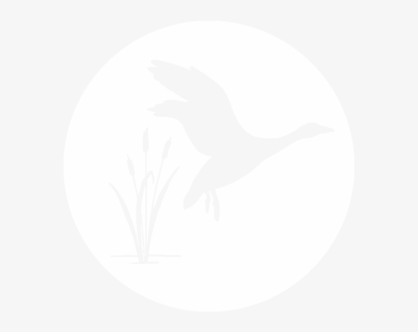 Grey Goose - Free Transparent PNG Download - PNGkey