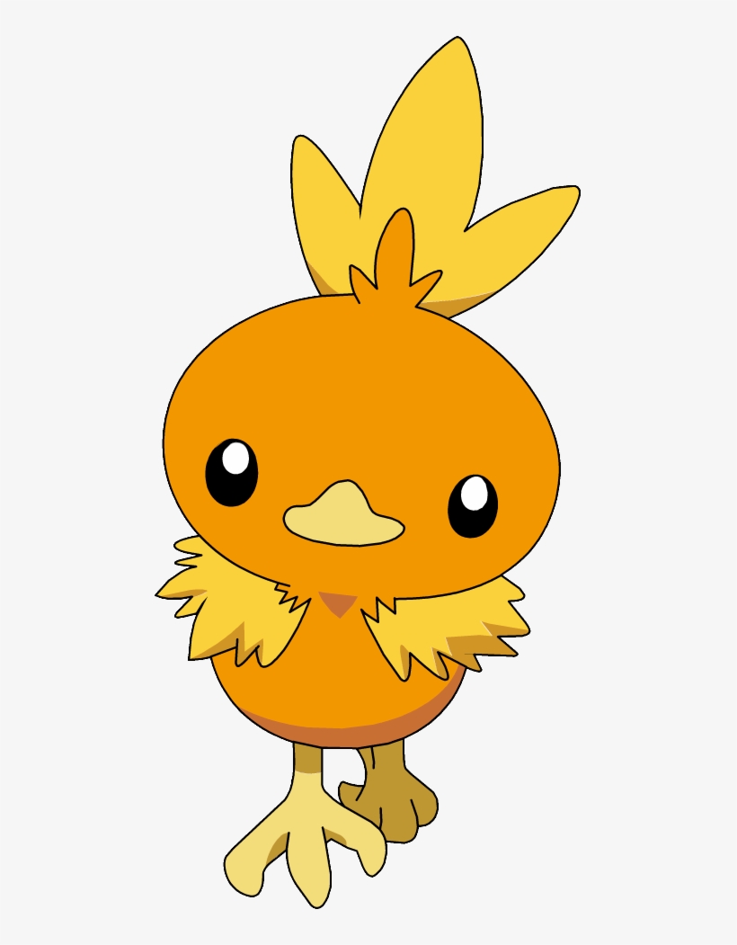 255torchic Ag Anime 2 - Torchic - Free Transparent PNG Download - PNGkey