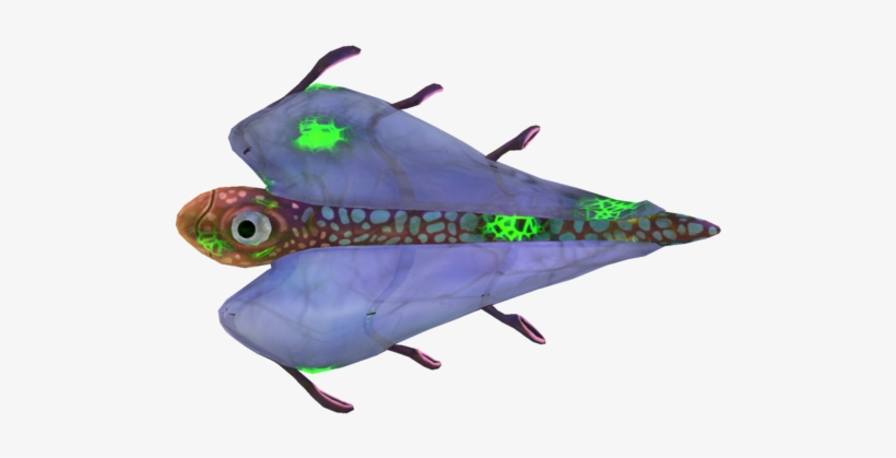 Bladderfish Png - Free Transparent PNG Download - PNGkey