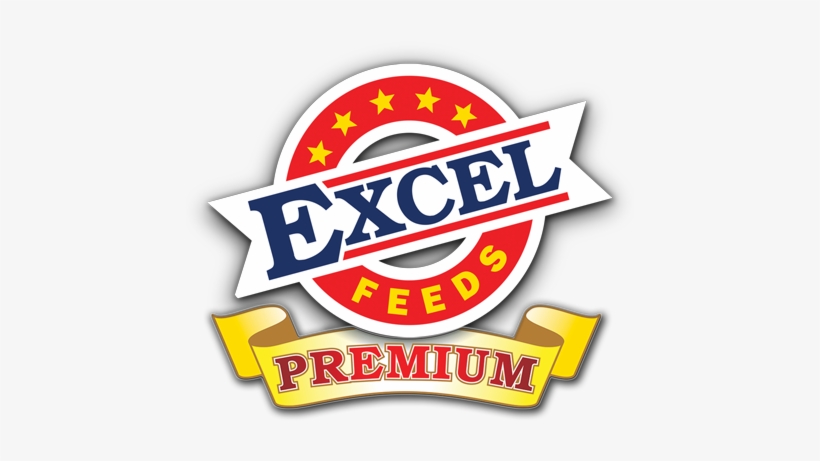 Excel Premium - Excel Feeds - Free Transparent PNG Download - PNGkey
