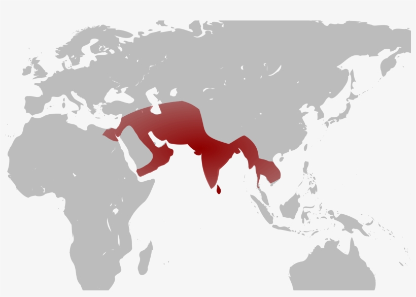 Without Border World Map - Free Transparent PNG Download - PNGkey