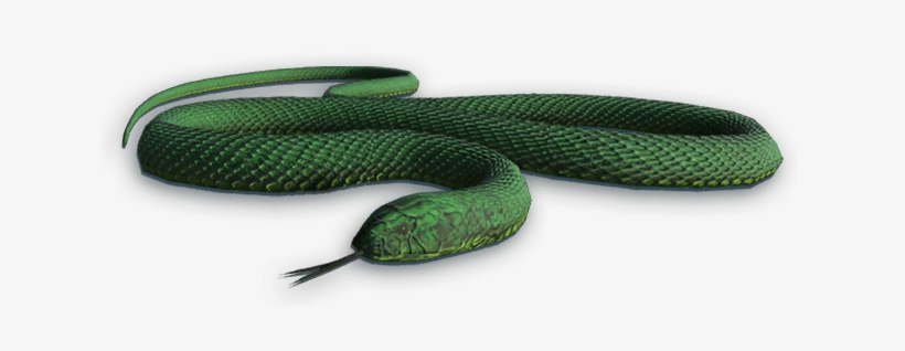 Smooth Greensnake - Free Transparent PNG Download - PNGkey
