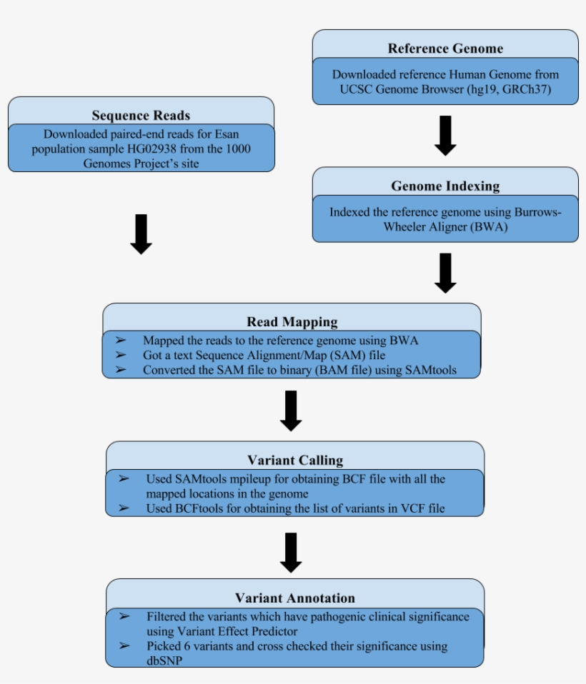 Final Project Document - Document - Free Transparent PNG Download - PNGkey