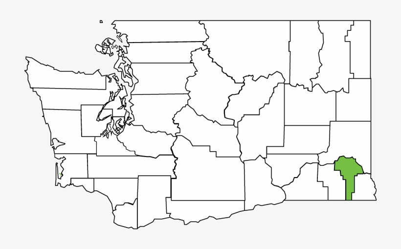 Garfield County Spotlight - Art Print: Washington My Roots Map, Clay ...
