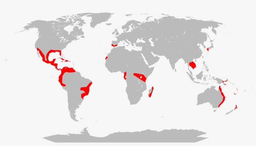 Global Distribution Of Lantana Camara - Rat Population In Alberta ...