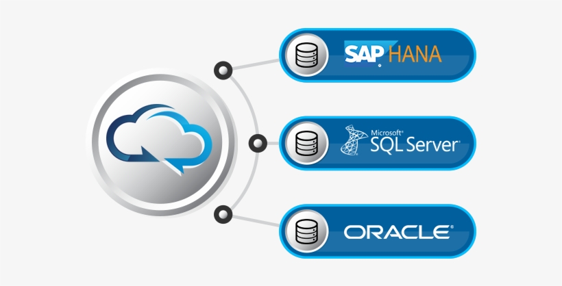 Sap Database - Database - Free Transparent PNG Download - PNGkey