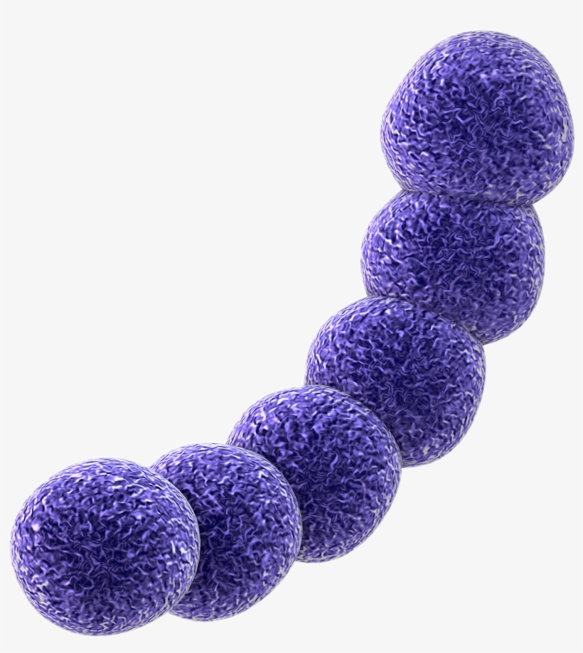 Simplexa Group B Strep Direct Kit - Diasorin Molecular Llc - Free ...