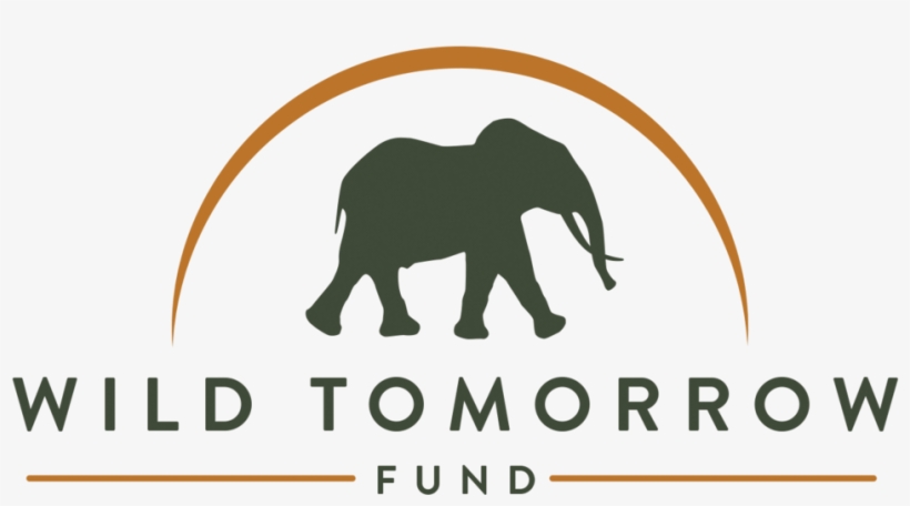 Wtf Logo Color Medium Format=1000w - Free Transparent PNG Download - PNGkey