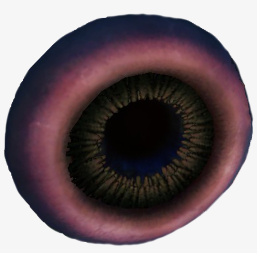 Tree Leech - Flora - Free Transparent PNG Download - PNGkey