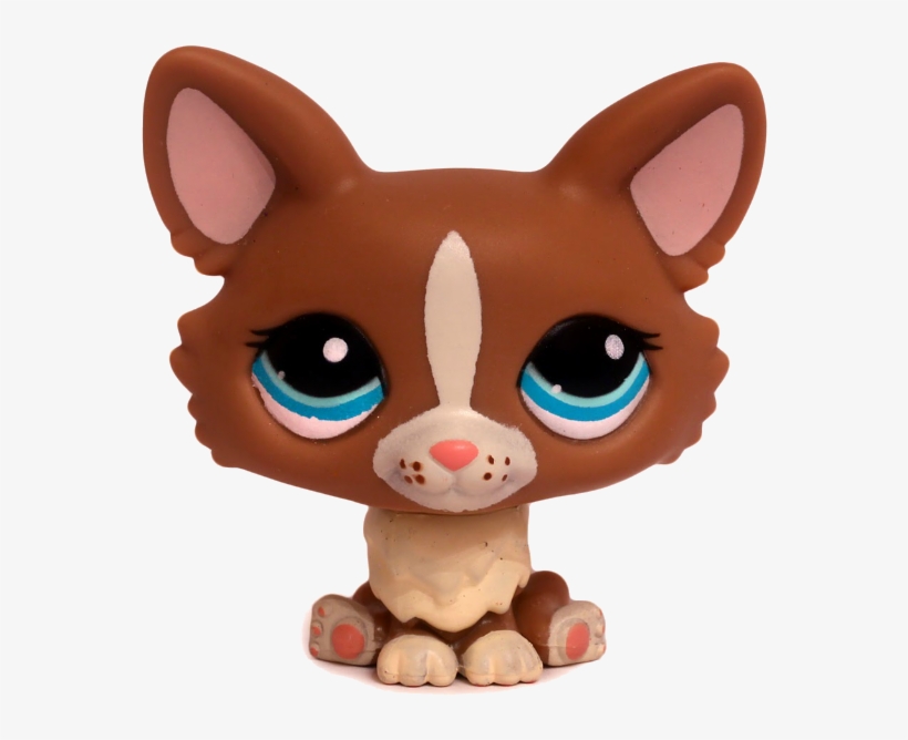 Littlest Pet Shop 1864 - Free Transparent PNG Download - PNGkey