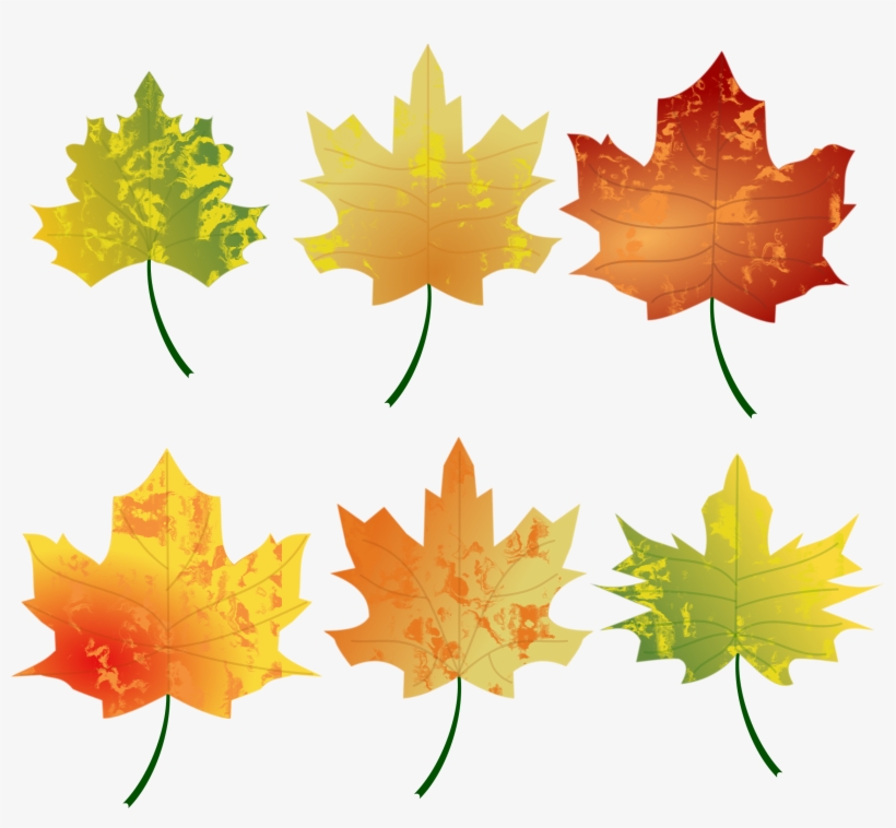 Png - Autumn Leaves Clipart - Free Transparent PNG Download - PNGkey