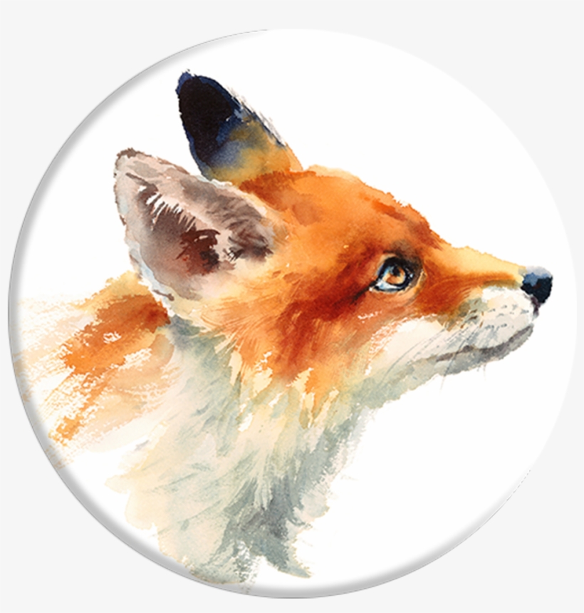 Popsockets Grip Fox, Popsockets - Fox Popsocket - Free Transparent PNG ...