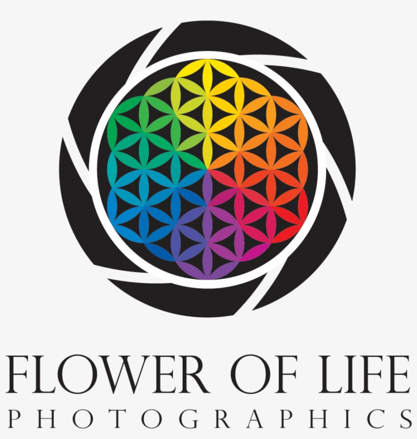 Flower Of Life Logos - Free Transparent PNG Download - PNGkey
