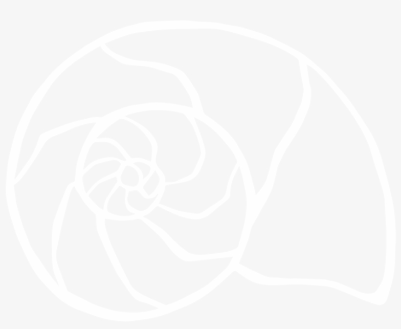 Golden Ratio Png - Free Transparent PNG Download - PNGkey