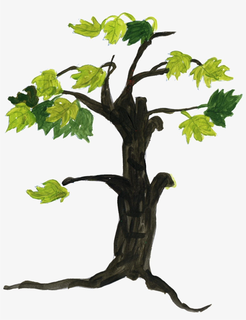 4 Tree Drawing - Free Transparent PNG Download - PNGkey
