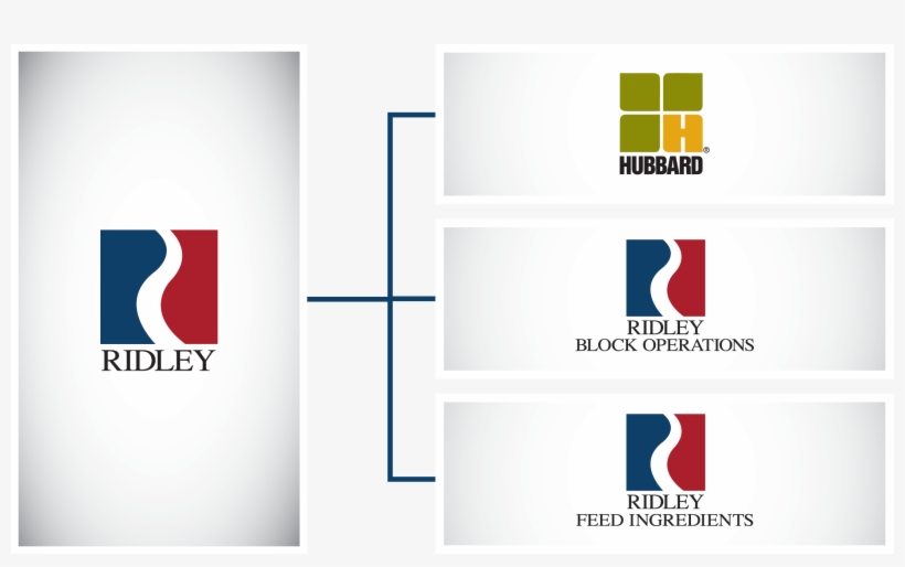 Ridley Division Tree - Ridley Inc. - Free Transparent PNG Download - PNGkey