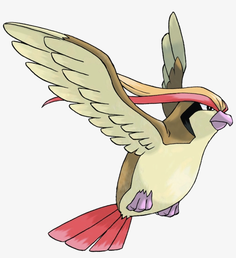 Pokemon Bird - Free Transparent PNG Download - PNGkey