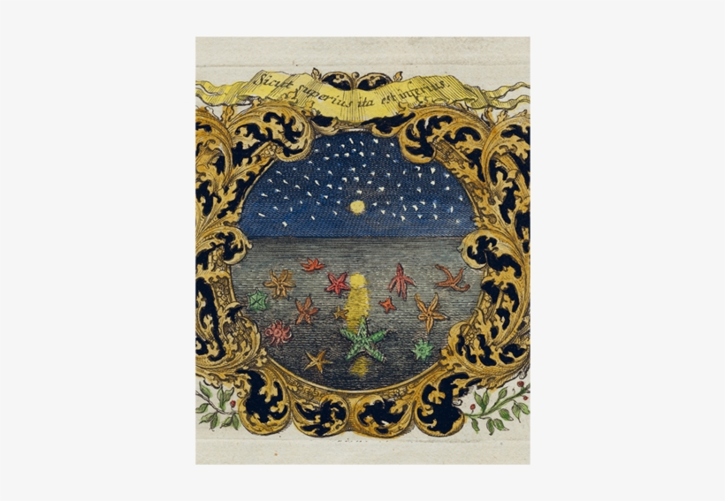 Starfish & Starry Night - Motif - Free Transparent PNG Download - PNGkey