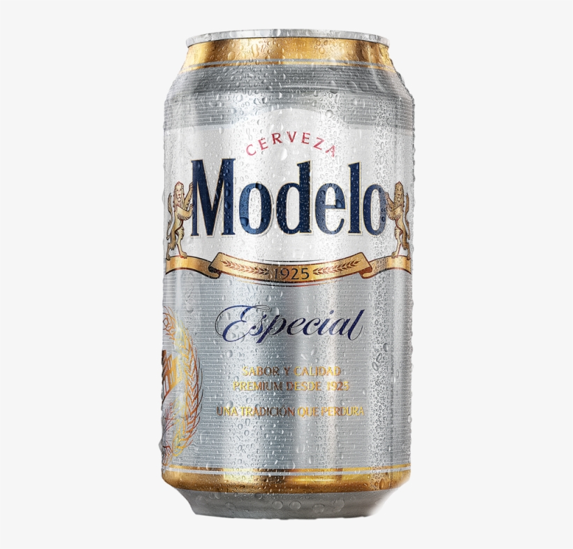 Modelo Png For Kids - Modelo Especial - Free Transparent PNG Download ...