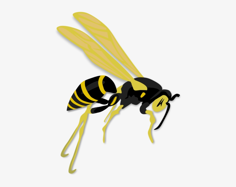 Flying Wasp Png Clip Arts - Free Transparent PNG Download - PNGkey