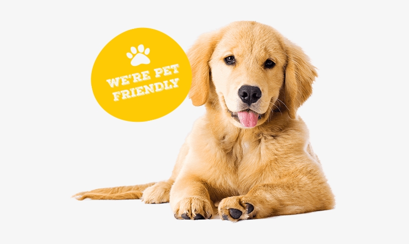 Pet Friendly - Free Transparent PNG Download - PNGkey