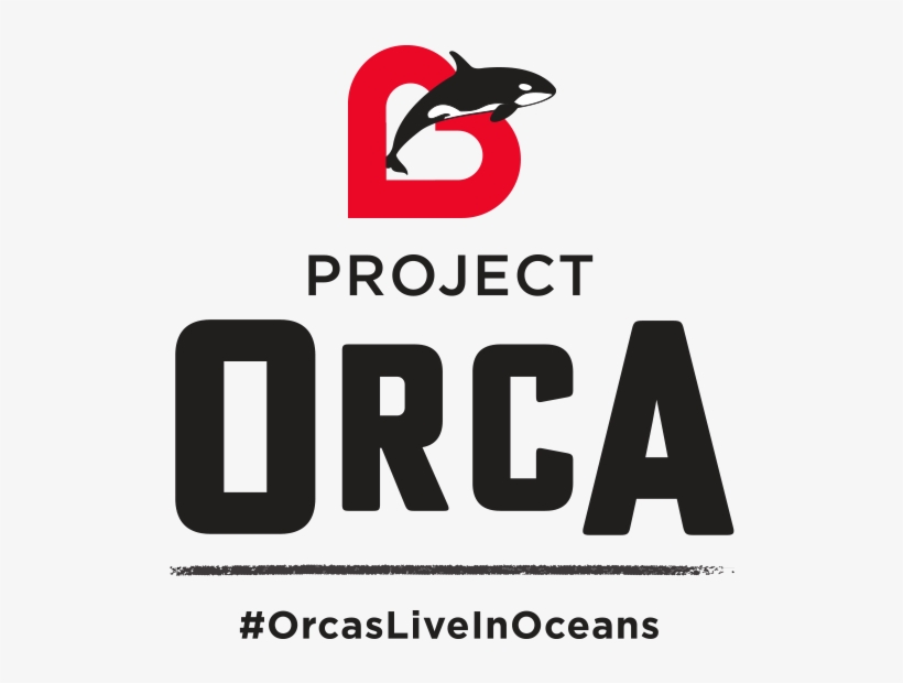Orcas Project - Managing Project Stakeholders By Tres Roeder - Free Transparent PNG Download ...