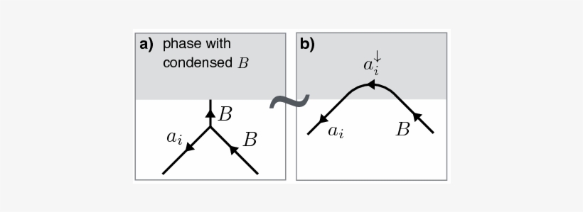 No Go Theorem For Boson Condensation In Topologically - Diagram - Free Transparent PNG Download ...
