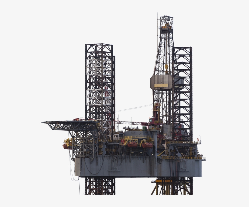 Field-based Research Into The Biological Communities - Free Transparent ...