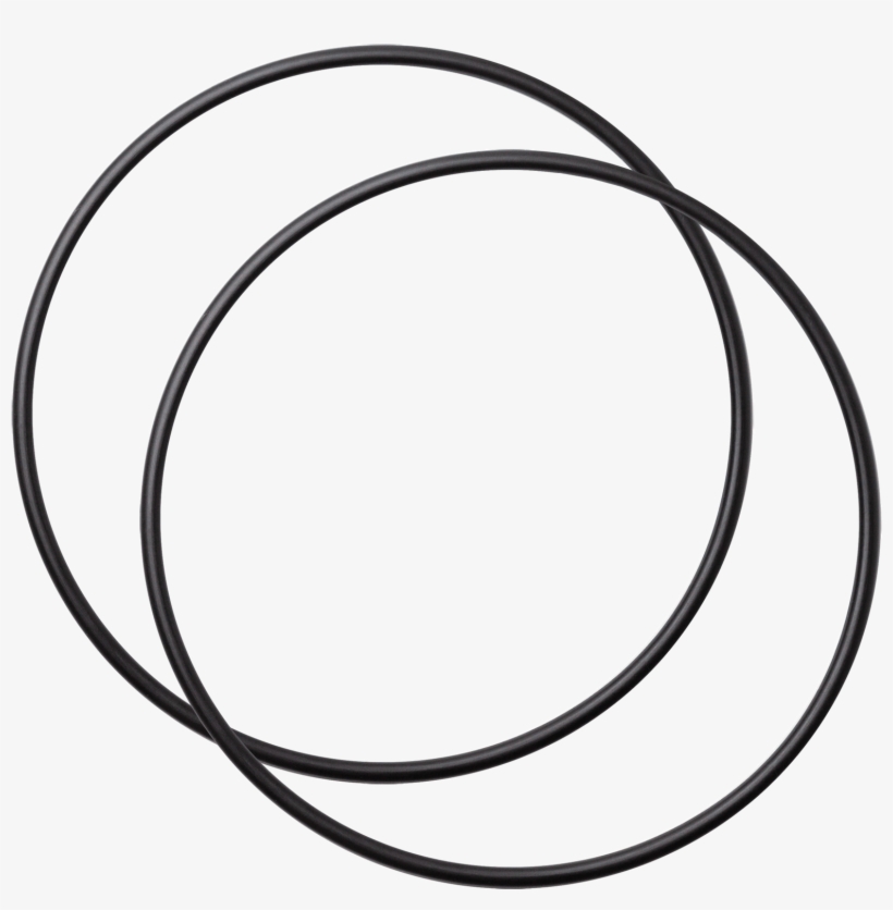 O-ring - Free Transparent PNG Download - PNGkey