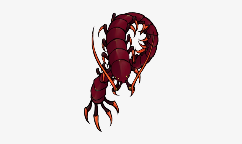 Centipede - Free Transparent PNG Download - PNGkey