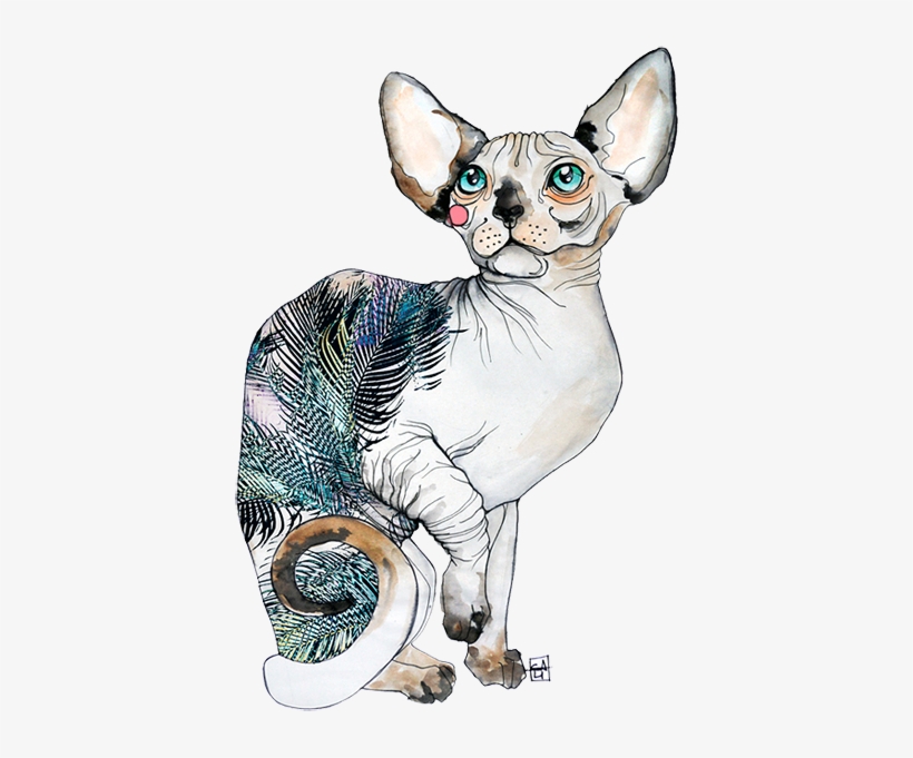 Sara Ligari - Free Transparent PNG Download - PNGkey