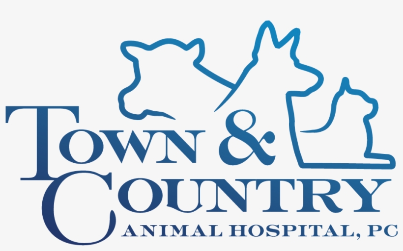 Pennsylvania - Free Transparent PNG Download - PNGkey