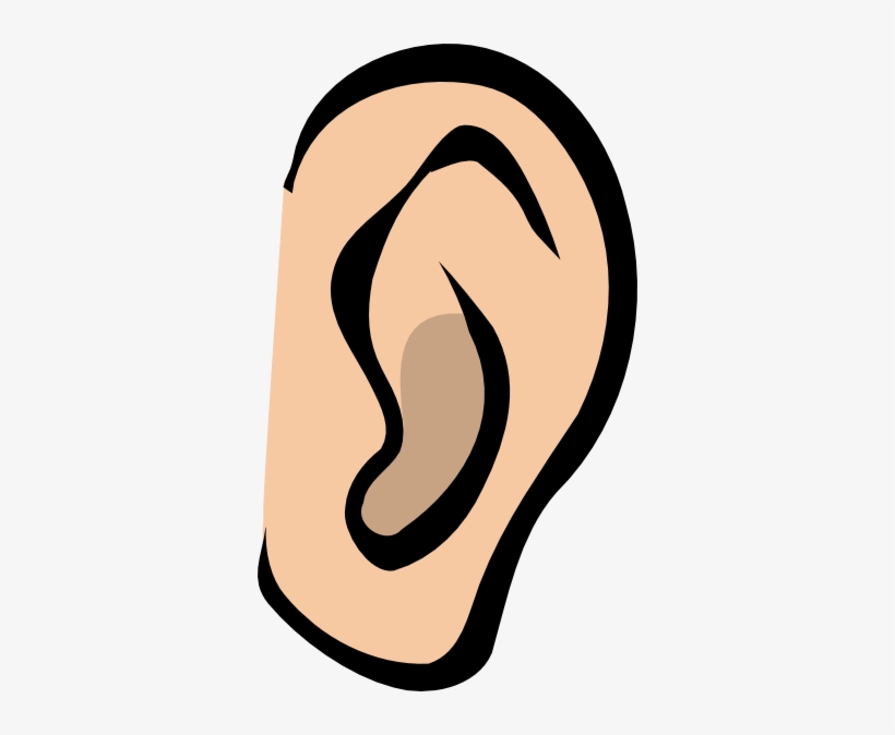 Picture Transparent Ear Clip Art At Clker Com Vector - Ear Clip Art Png ...