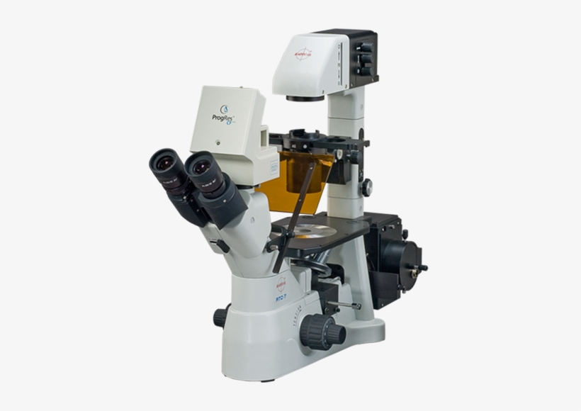 Inverted Fluorescent Microscope - Free Transparent PNG Download - PNGkey