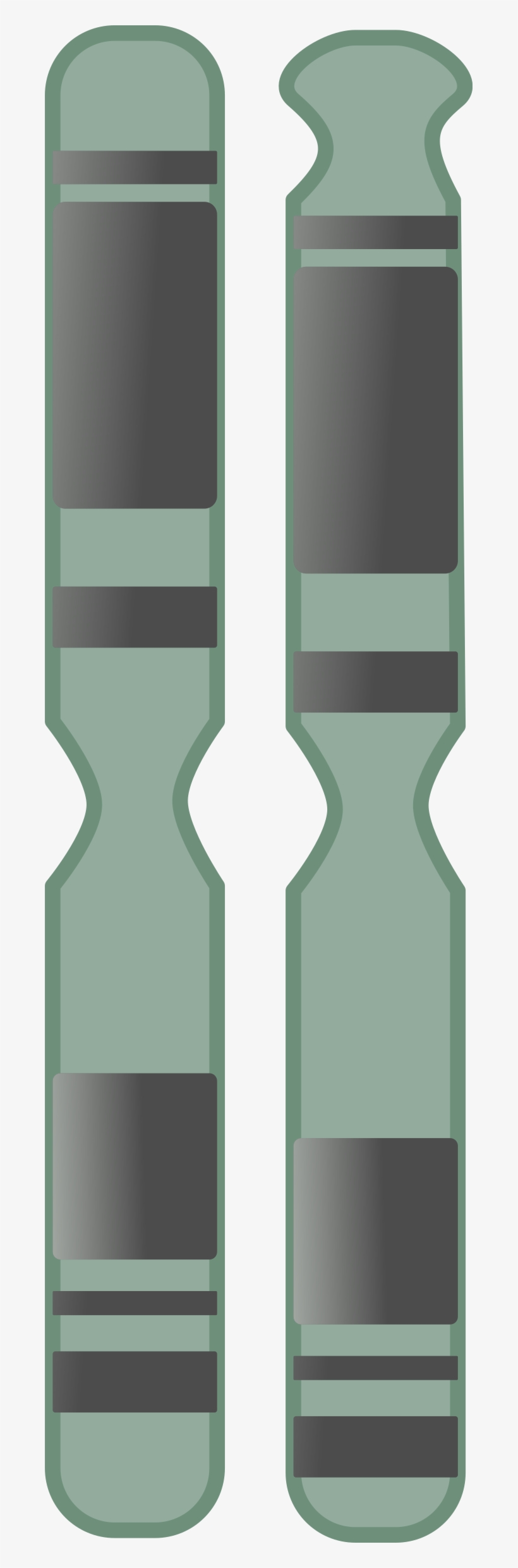 Chromosome Png - Free Transparent PNG Download - PNGkey