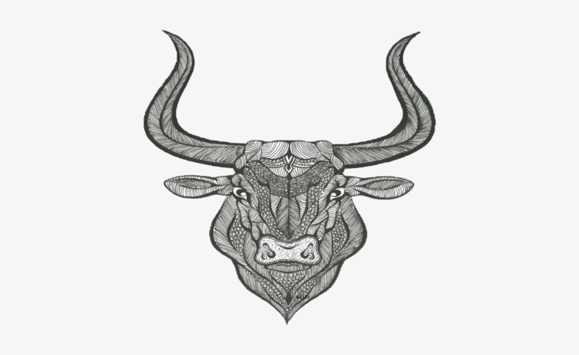 Bull Head - Openclipart - Free Transparent PNG Download - PNGkey
