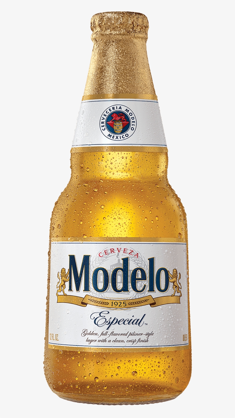 Modelo Especial - Free Transparent PNG Download - PNGkey