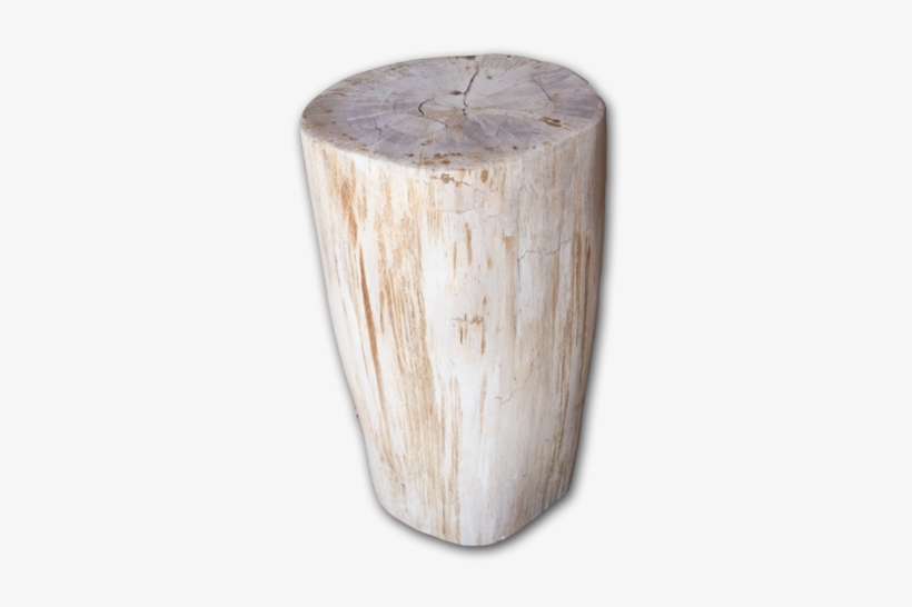 Petrified Wood Log Stool Pf-2096 - Free Transparent PNG Download - PNGkey
