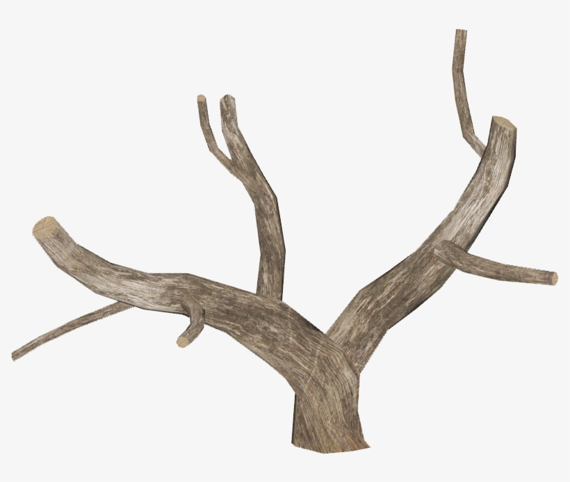 Dead Tree Log 4 - Tree - Free Transparent PNG Download - PNGkey