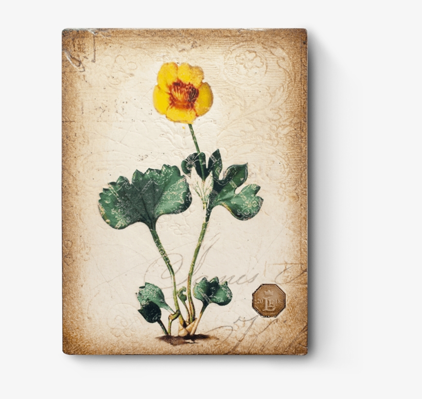 Rated R Png - Free Transparent PNG Download - PNGkey