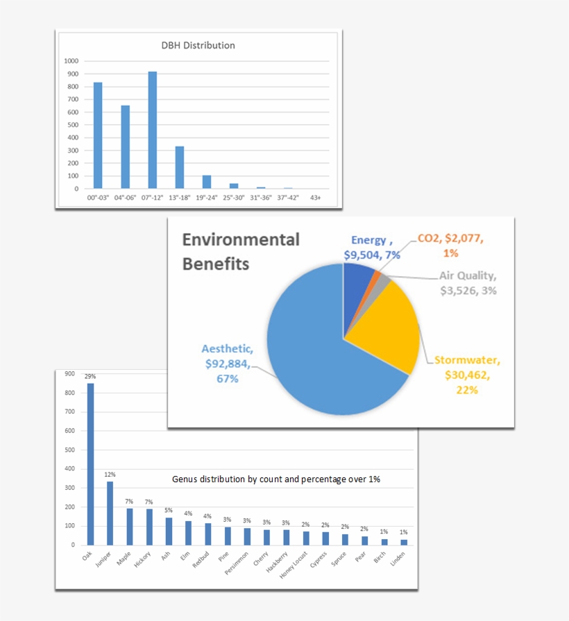 Tree Inventory Management Plan - Plan - Free Transparent PNG Download ...