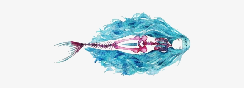 Transparent Mermaid, Tumblr - Mermaid Png - Free Transparent PNG ...