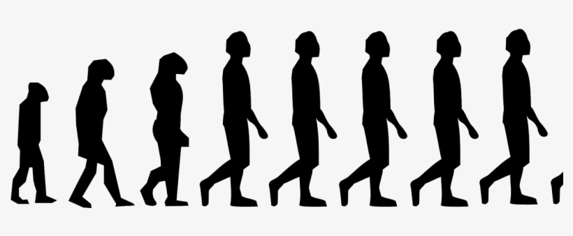 Evolution Human - Free Transparent PNG Download - PNGkey