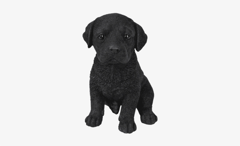 Pet Pals Black Labrador Puppy - Black Labrador Puppy - Free Transparent ...
