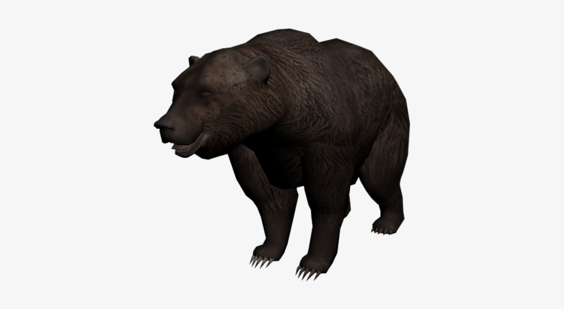 Oso - Oso En Png - Free Transparent PNG Download - PNGkey